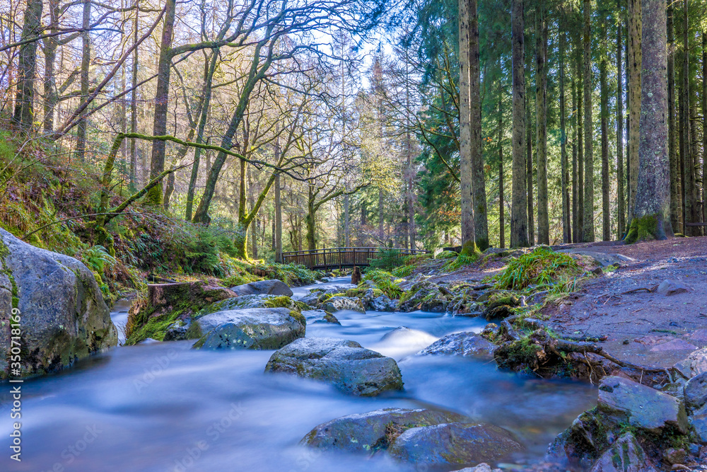 Foto de Queen Elizabeth Forest Park is a 19,665-hectare forest park in ...