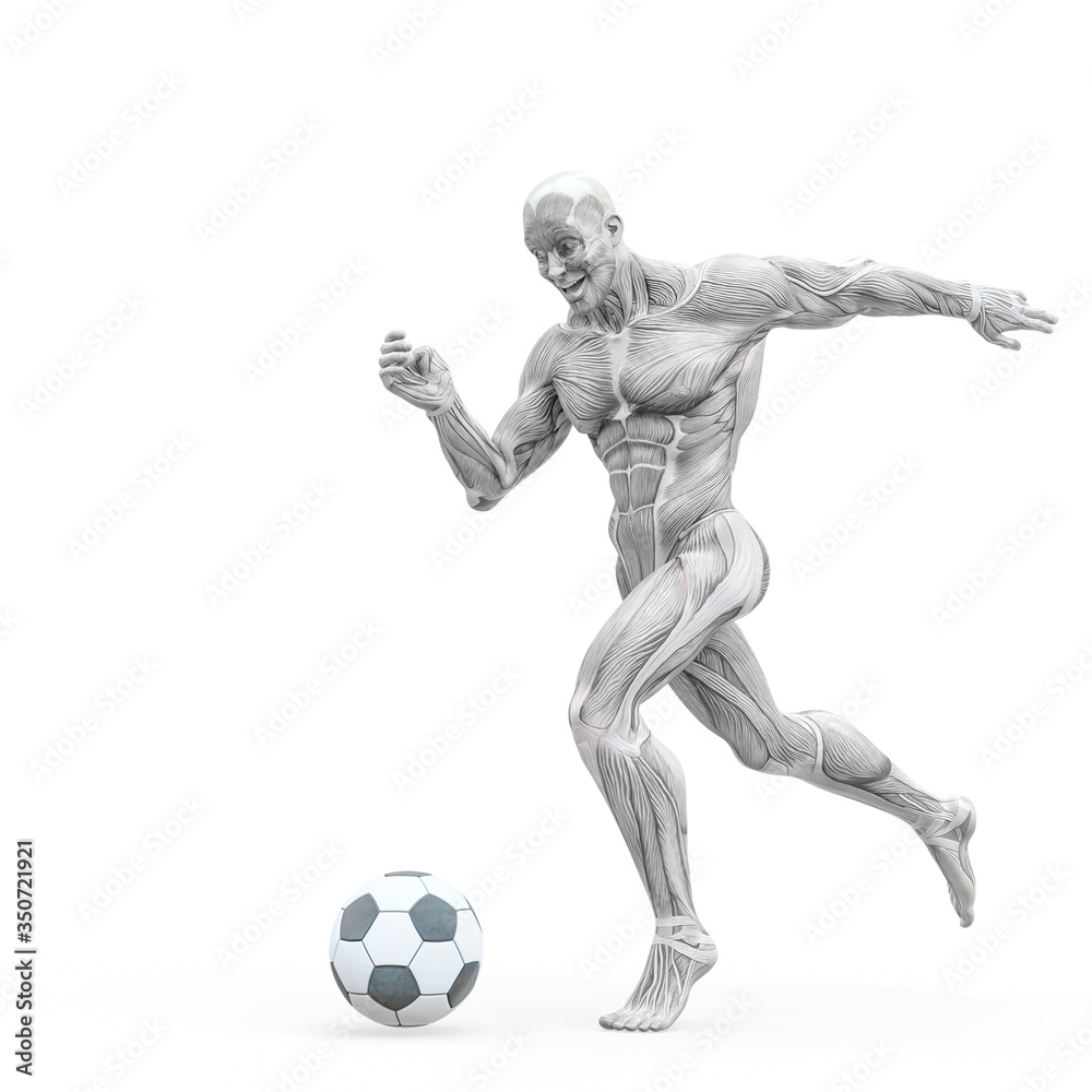 muscleman anatomy heroic body playing football in white background ...