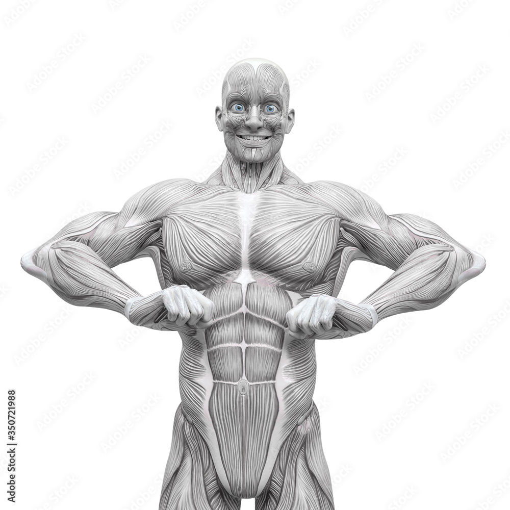 muscleman anatomy with a heroic body is happy in white background Stock ...