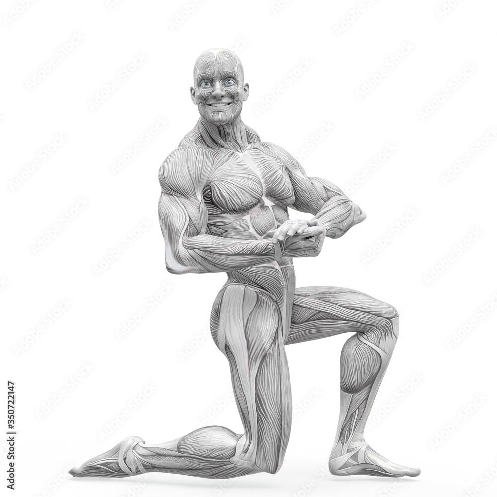 muscleman anatomy heroic body doing a bodybuilder pose five in white ...