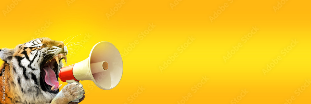 Tiger roaring on a megaphone. Advertisement concept with wide copy ...
