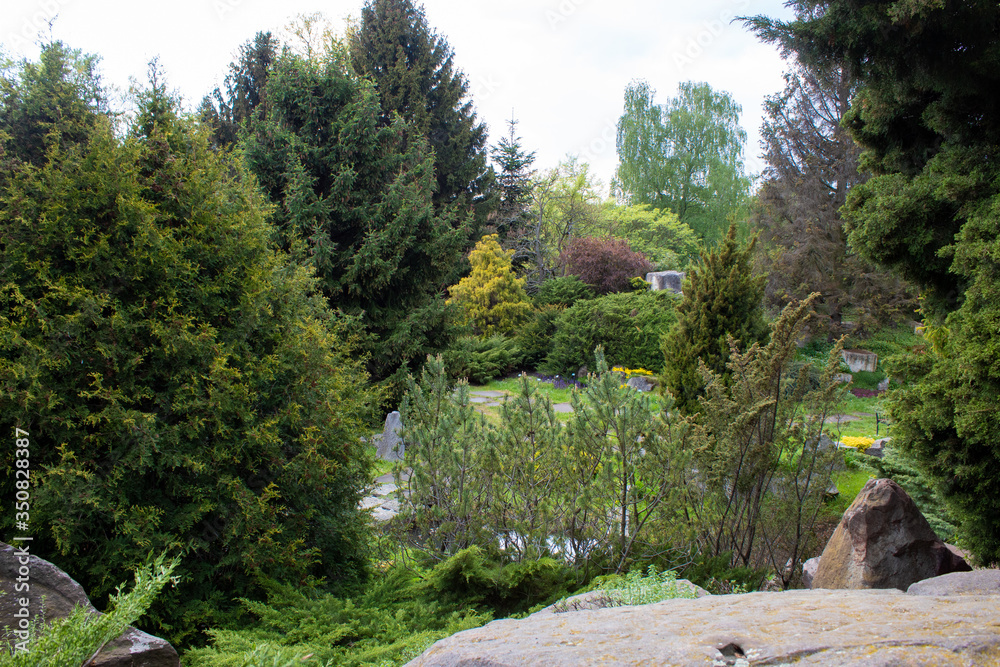 Alpine slide in landscape design. Alpine plants and bushes in the Lodz ...