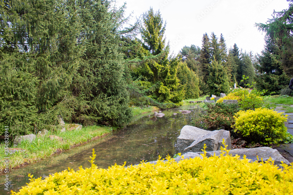 Alpine slide in landscape design. Alpine plants and bushes in the Lodz ...