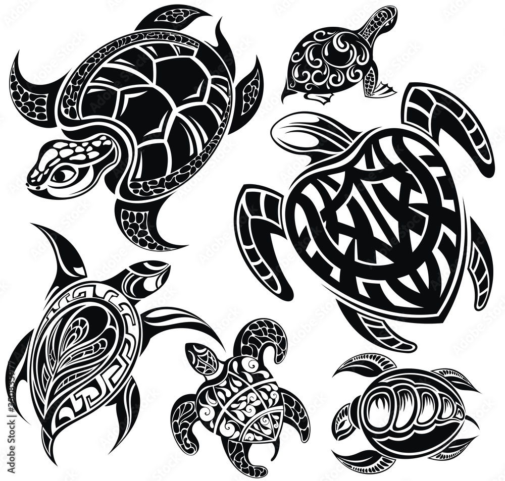 Vector of turtle design on a white background. Reptile. Animals. Stock ...