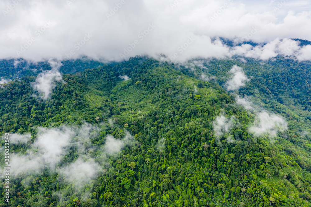Aerial view of mist and clouds rising from a beautiful tropical ...
