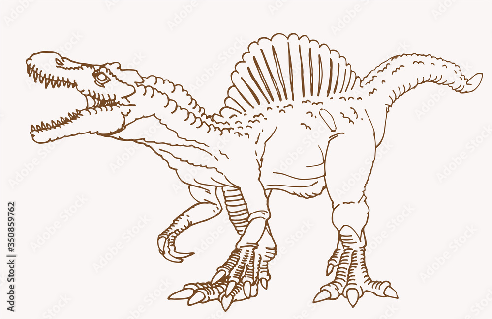 Vector vintage sketch of spinosaurus , graphical illustration ...