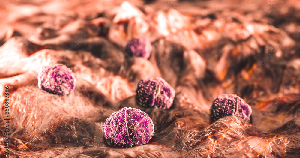 Science Photo of bacteria A diplococcus is a round bacterium that ...