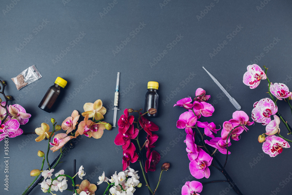 Orchid medicine and fertilizer. Fungicide insecticide for home plants ...