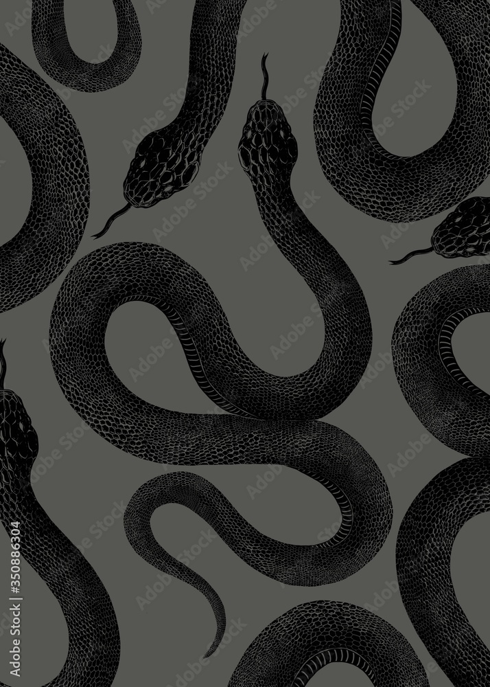 snake skin texture on gray background Stock Illustration | Adobe Stock