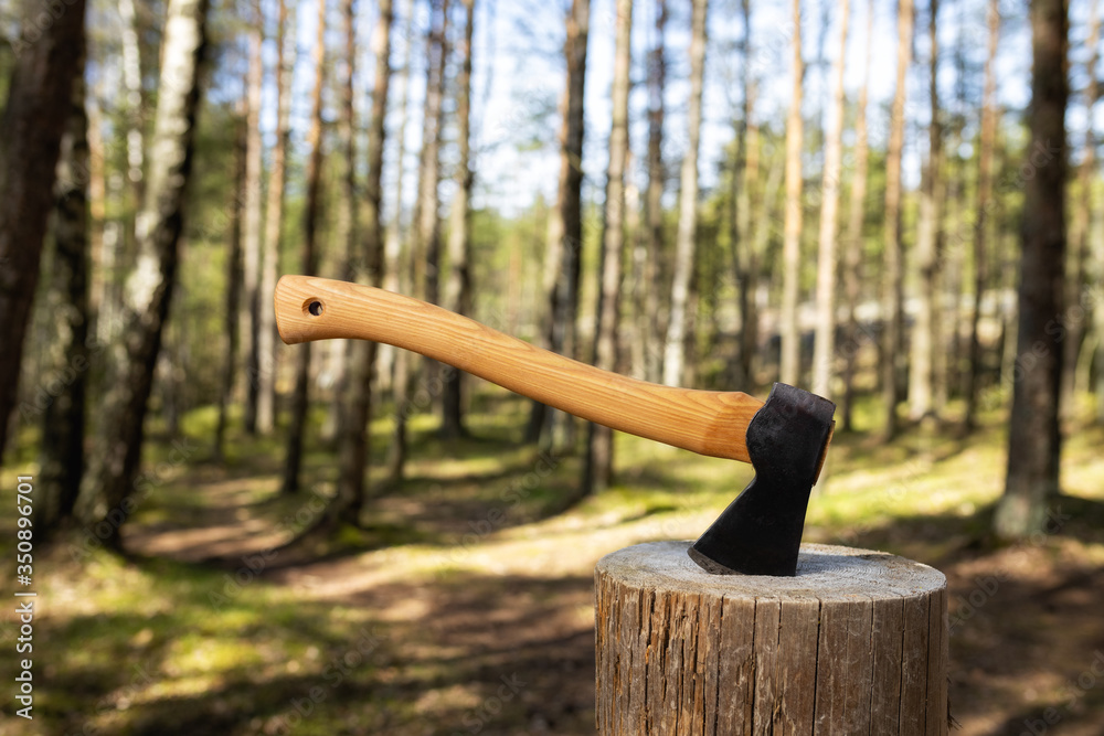 Axe stuck in the stump. Shot of axe cut in a stump on forest background ...