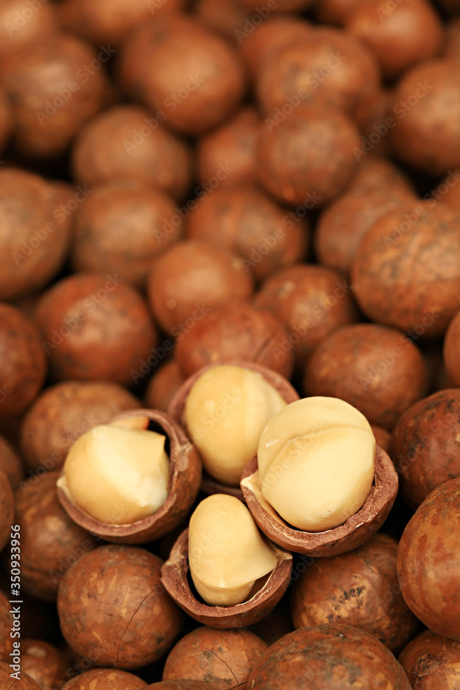 The seeds of macadamia nuts are peeled until the flesh inside is ...