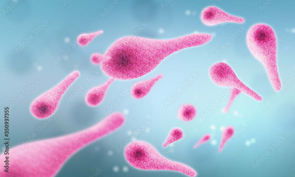 Tetanus Bacteria Images