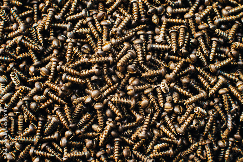 Close-up, macro. Old Soviet brass pan head screw with a flat head ...