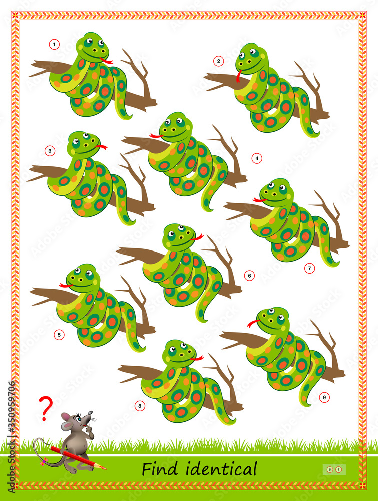 Logic puzzle game for children and adults. Find two identical snakes ...