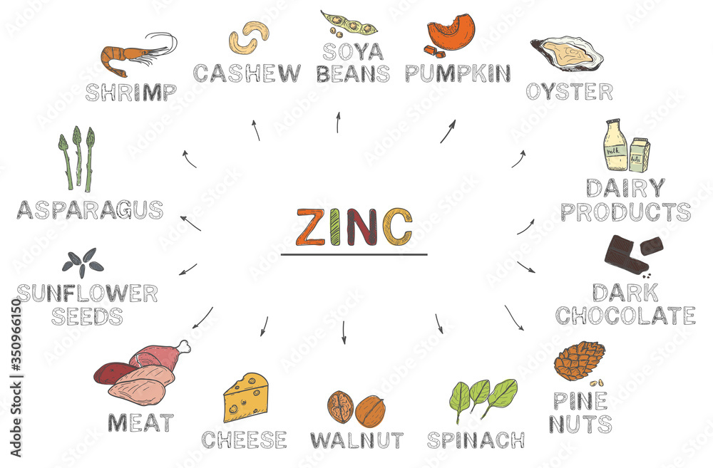 Zinc (Zn), infographics. Foods rich in zinc, natural products on white ...