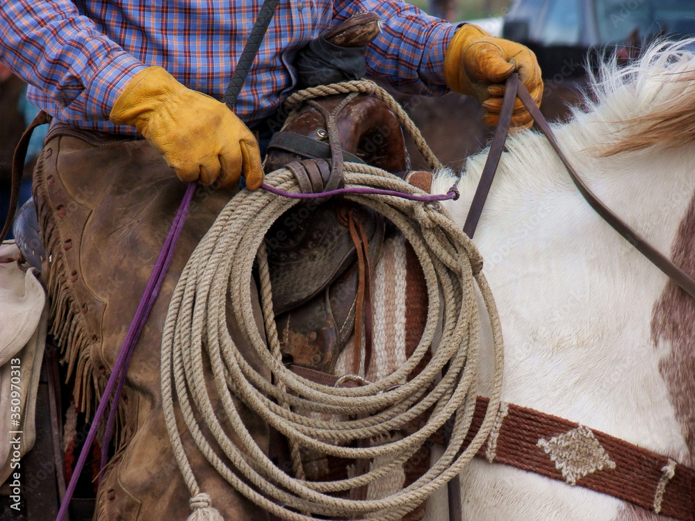 Cowboy on saddle horse, with coiled lariat in place, carrying a ...
