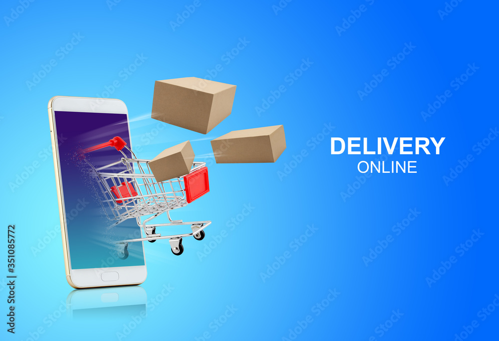 Fast express delivery package for shopping online on phone, app service ...