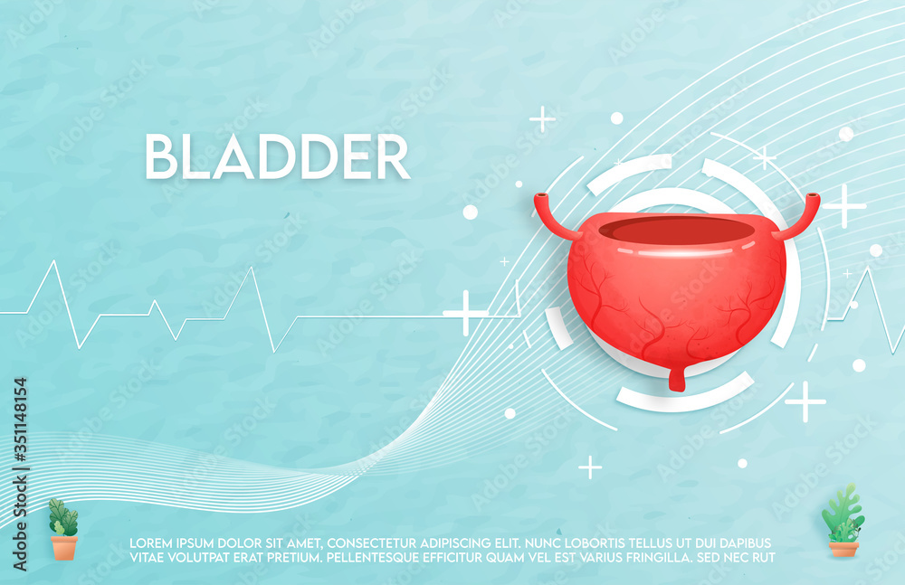 Human bladder and treatment watercolor style. A concept hospital for ...