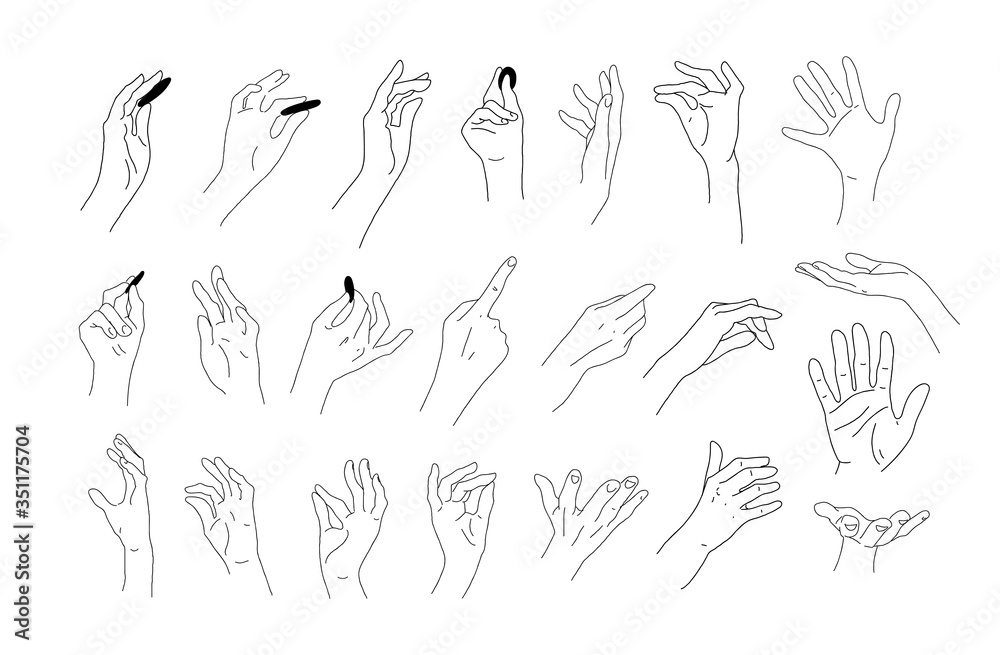 Big set of realistic hand sketches. Linear drawings of hands, fingers ...