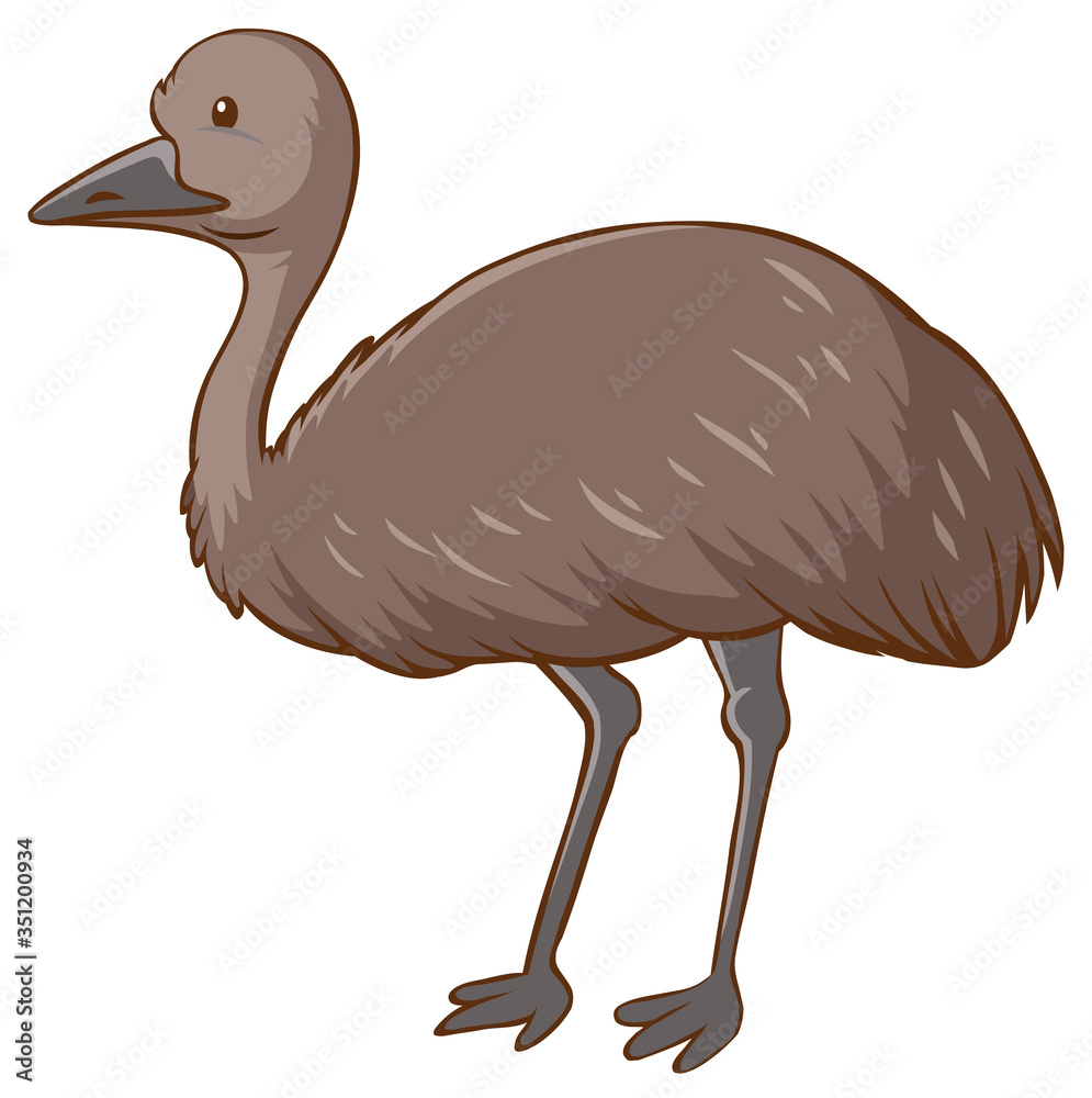Emu cartoon character on white background Stock Vector | Adobe Stock
