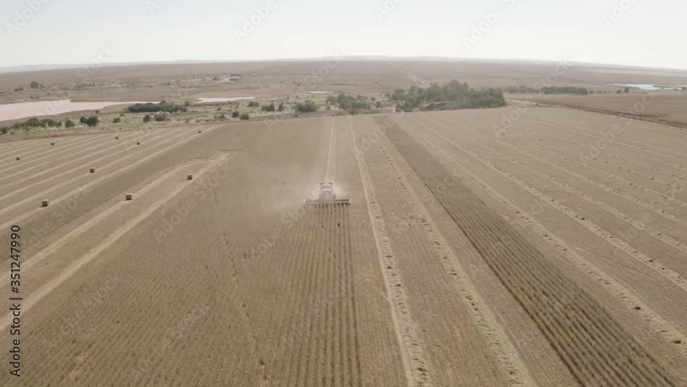 South African farm landscape at harvest time in the winter Stock Video ...