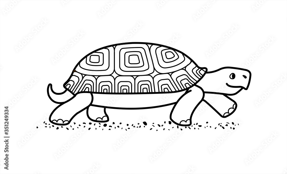 outline vector cute land tortoise with patterned shell, side view ...