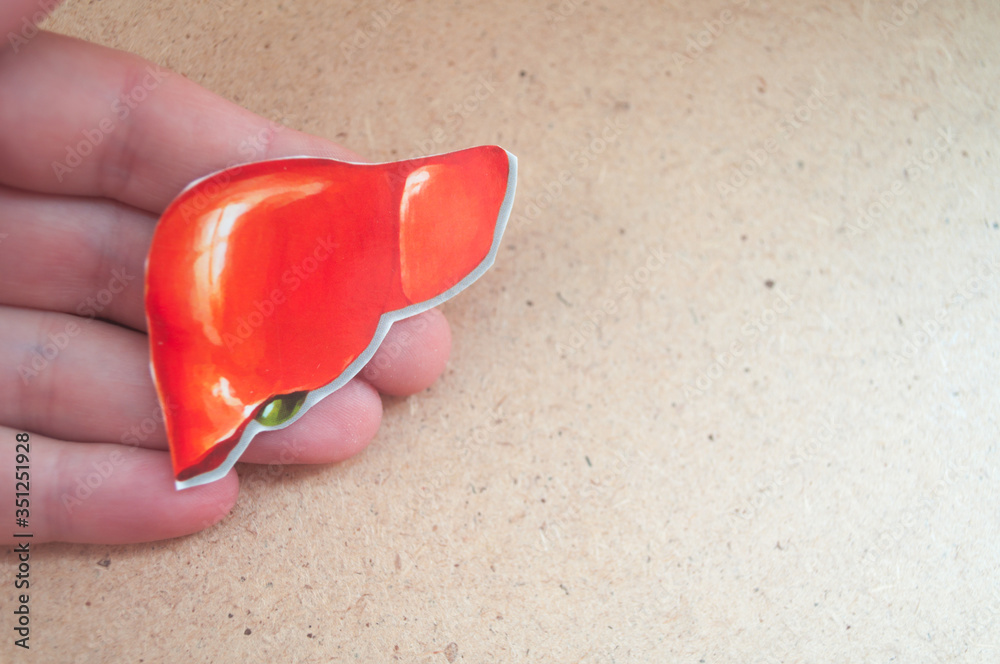 Hand holds the liver. World Hepatitis Day, World Liver Day, Cancer of ...