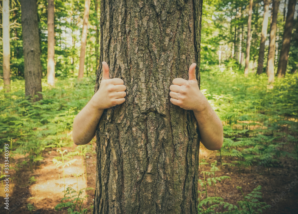 A Talking tree trunk character sending a positive message through sign ...