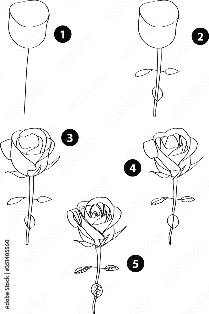 Drawing learn step by step tutorial techniques plants set with ...