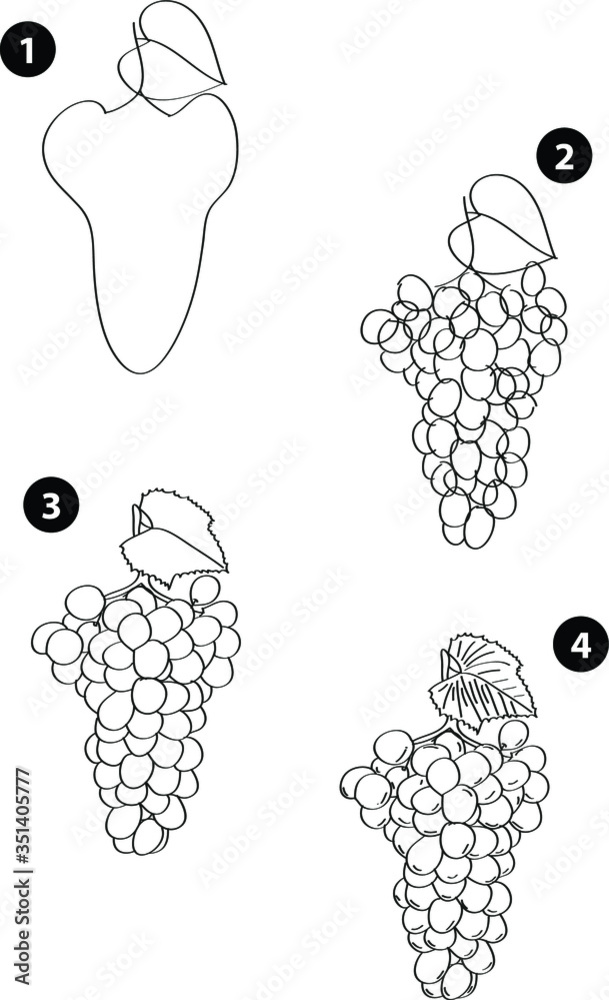 Drawing learn step by step tutorial techniques plants set with ...