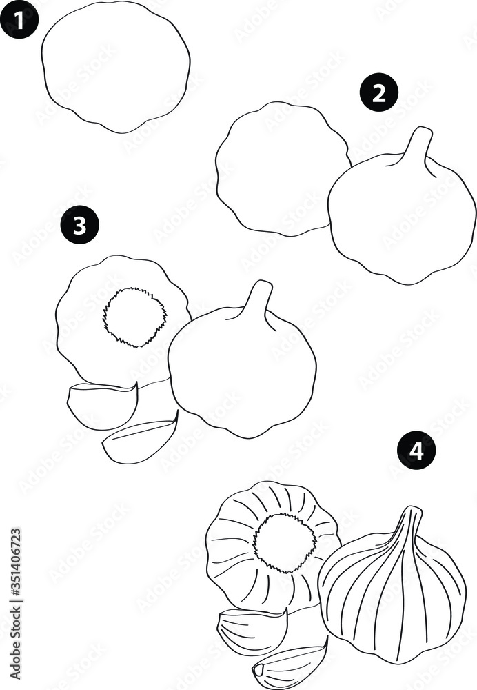 Garlic Drawing For Kids