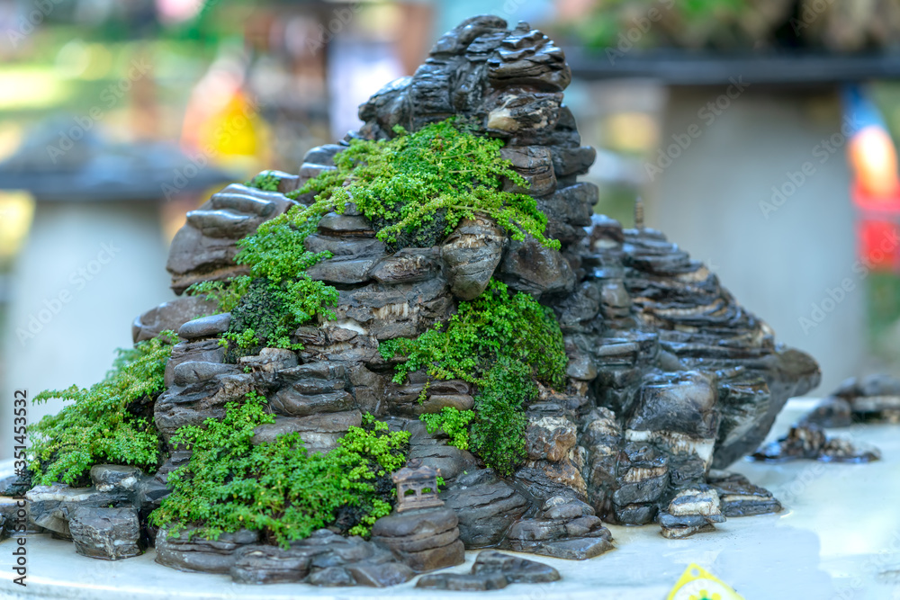 Foto de Penjing miniature in a tray in the shape of the stem is shaped ...
