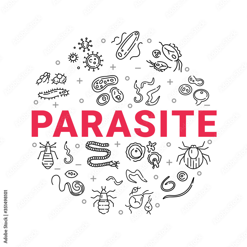 Human parasites. Set of vector linear icons. Stock Vector | Adobe Stock