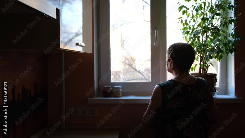 Back view of grandmother looking out window. Concept. Elderly woman ...
