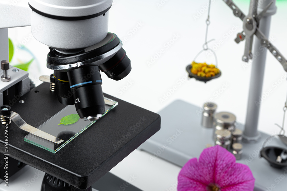 Medical laboratory. Scientific microscope with test tubes and plants ...