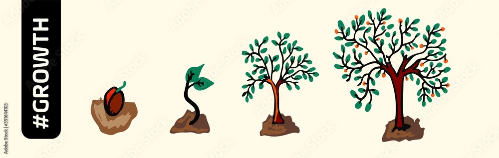 Tree growth diagram with green leaf, nature plant. Set of illustrations ...