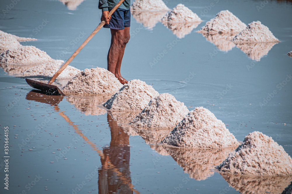 Cinematic photo of traditional harvesting of salt in Kampot Province in ...