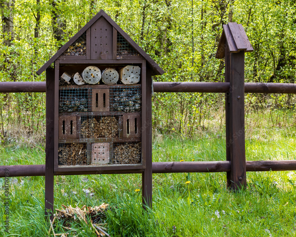 Ecological insects hotel bug house on the ground. Wooden fence behind ...