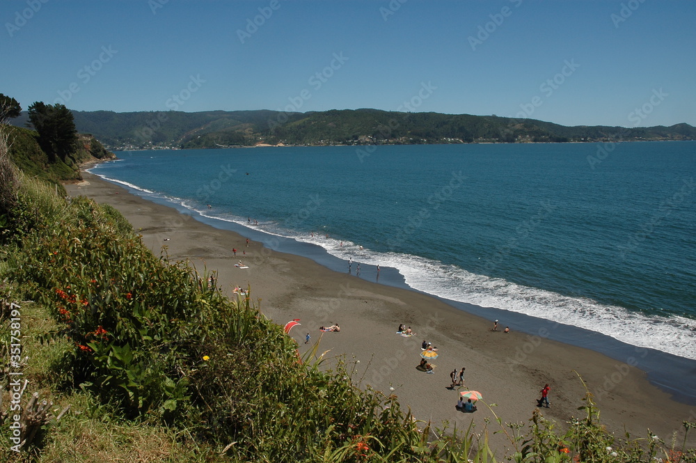 Costas del Océano pacifico Chile sudamerica mar rocas flor de costa del ...