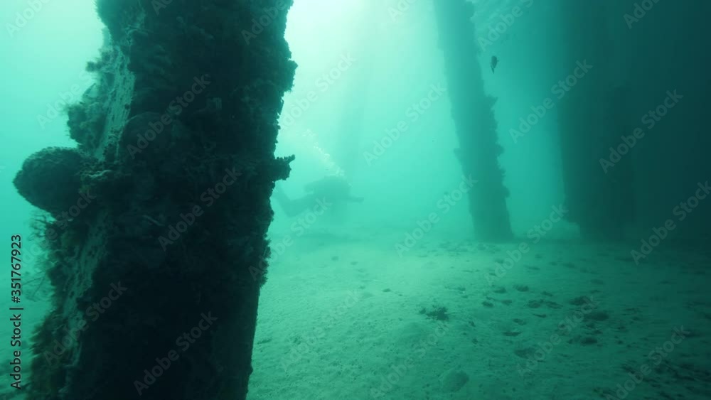 Underwater pier pilings and pylons with growing corals fishes and a ...