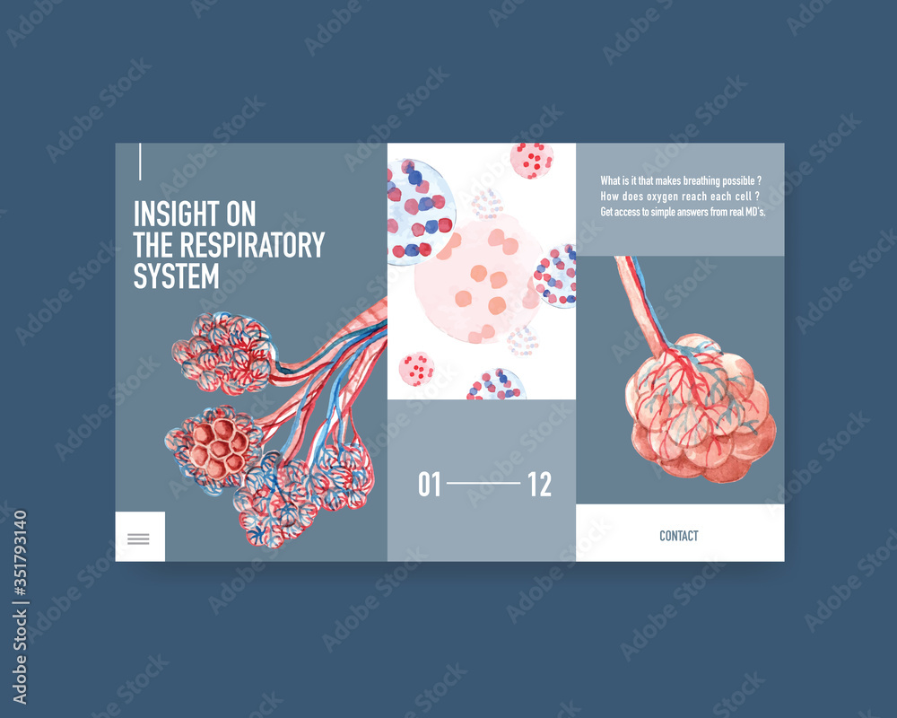respiratory system design for website template with Human Anatomy of ...