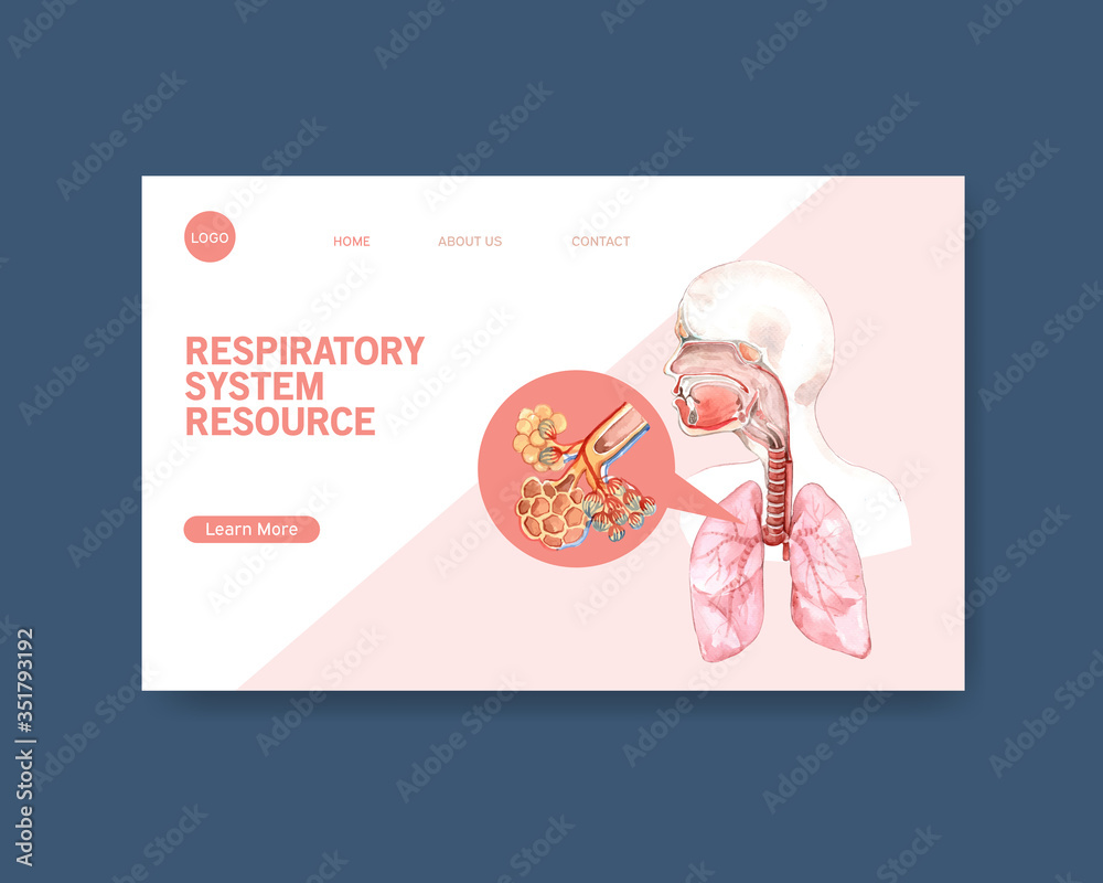 respiratory system design for website template with Human Anatomy of ...