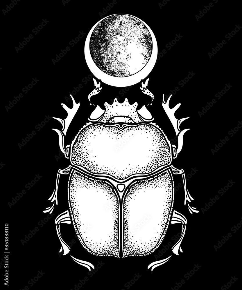 Scarabaeus sacer, Dung beetle. Sacred symbol of in ancient Egypt ...