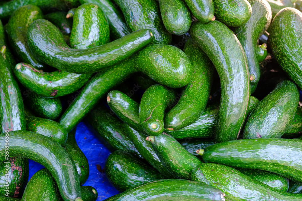 Avocado. Healthy fresh avocados are grown on an organic farm. Royalty ...