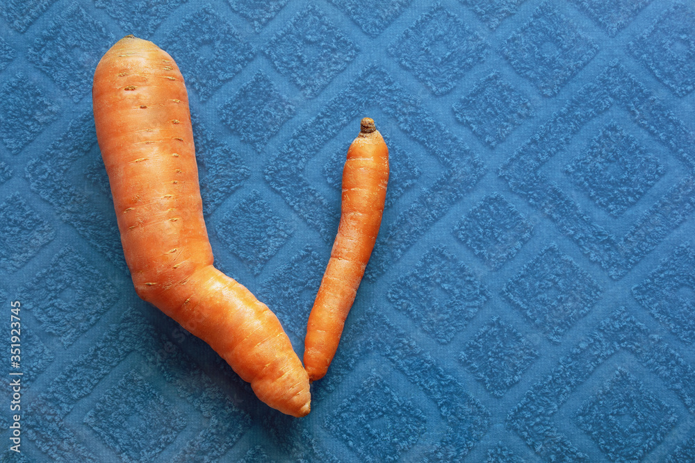 Check mark sign. Fresh curved carrots on a blue background. Free space ...