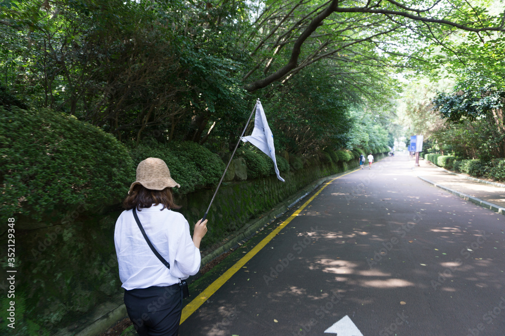 Local guide with guided flag leads the group of tourist walk through ...