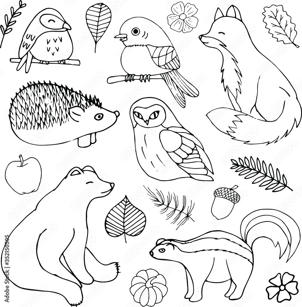 Forest Animals Birds Doodle Autumn Fall Leaves Flowers Cartoon Cute ...