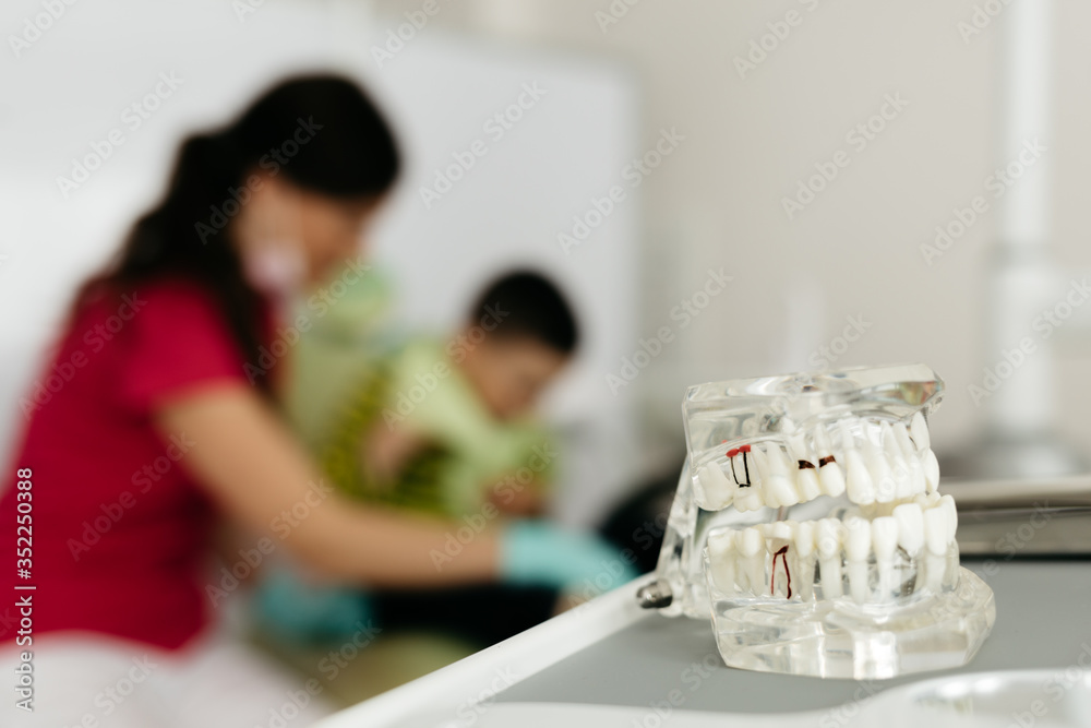 Dentist showing jaw model, giving lesson on proper teeth and oral ...