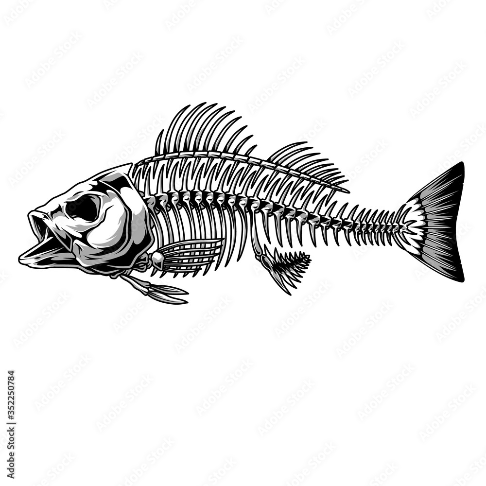 Bass fish skeleton monochrome concept Stock Vector | Adobe Stock