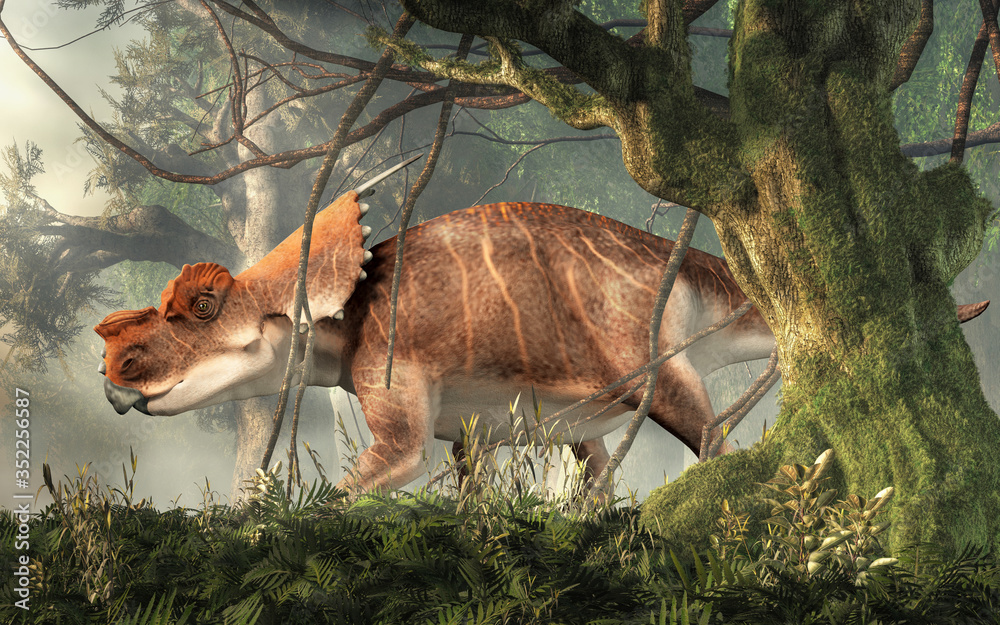 Achelousaurus was a Cretaceous era dinosaur. A cousin of triceratops ...